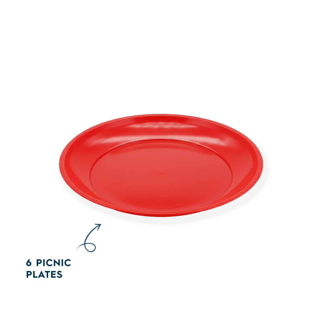 6 Picnic Plates – Hero Plast